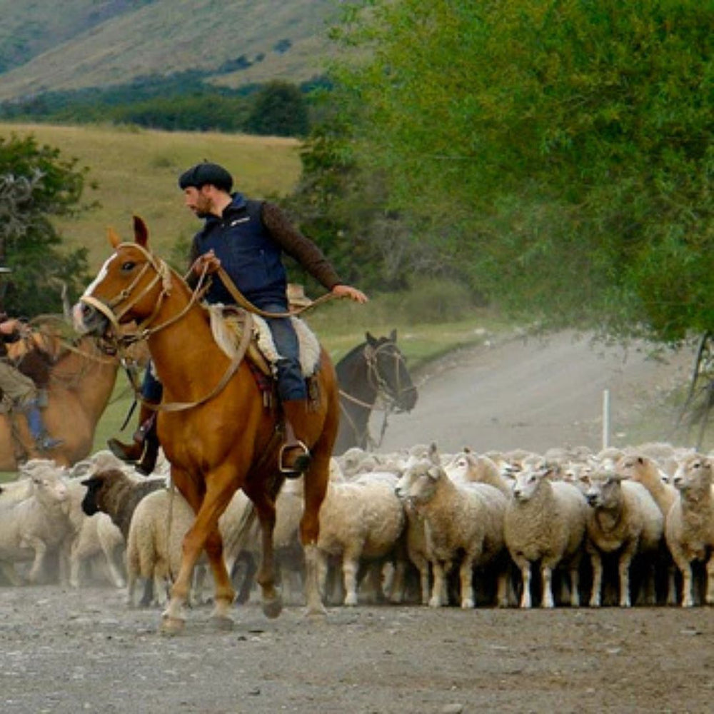 Teko Socks Eco Performance Socks